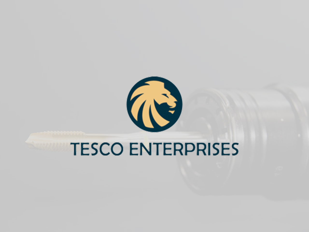 Tesco Enterprises: Fast Industrial Tool Supply